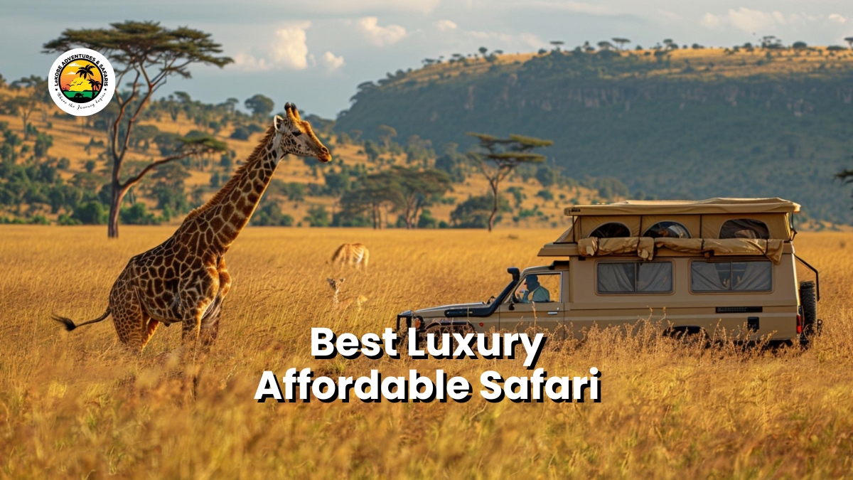 Best Luxury Affordable Safari: Discover the Ultimate African Adventure